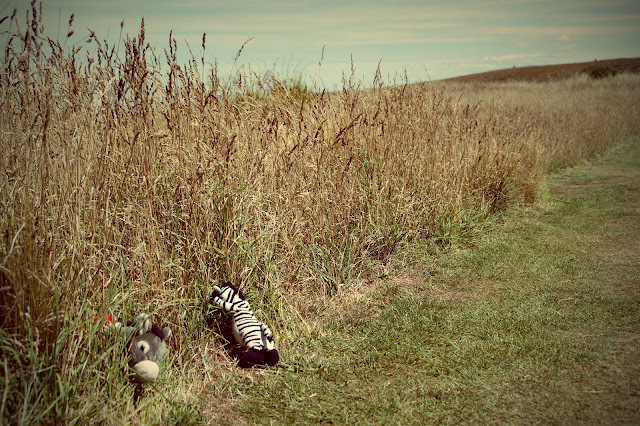 Zebresel.: Zebresel.