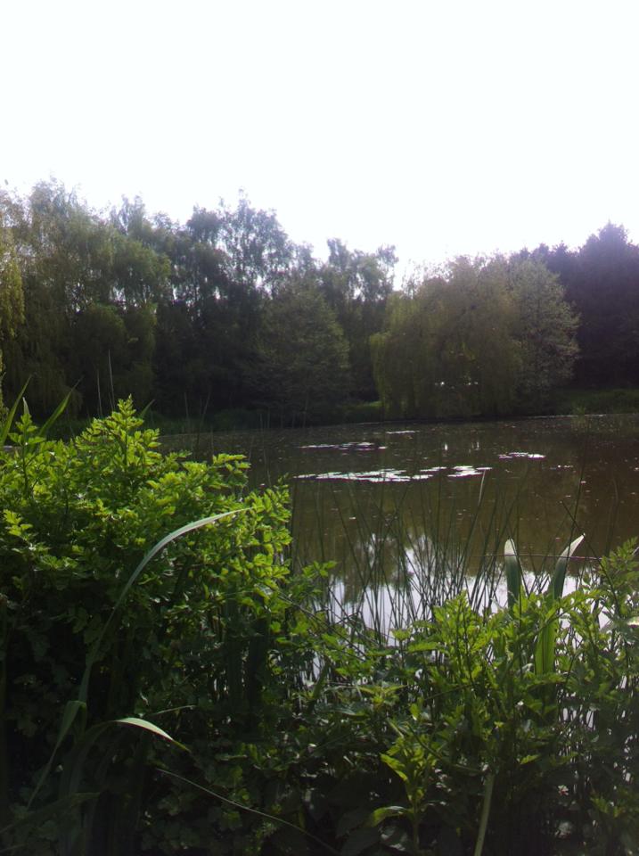 UK fishing venues: Docklow Pools (Mickey Mouse Lake) - Venue Review