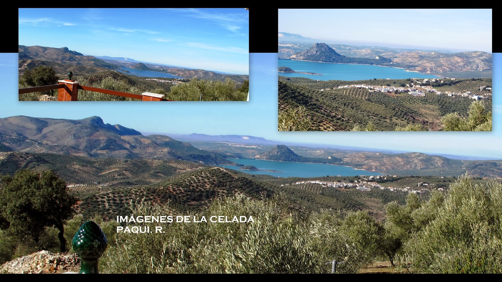 YO APRENDO: IMÁGENES DE LA CELADA