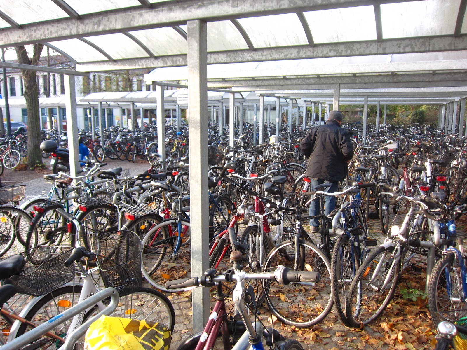 Where Is Darren Now?: Germans And Their Bicycles