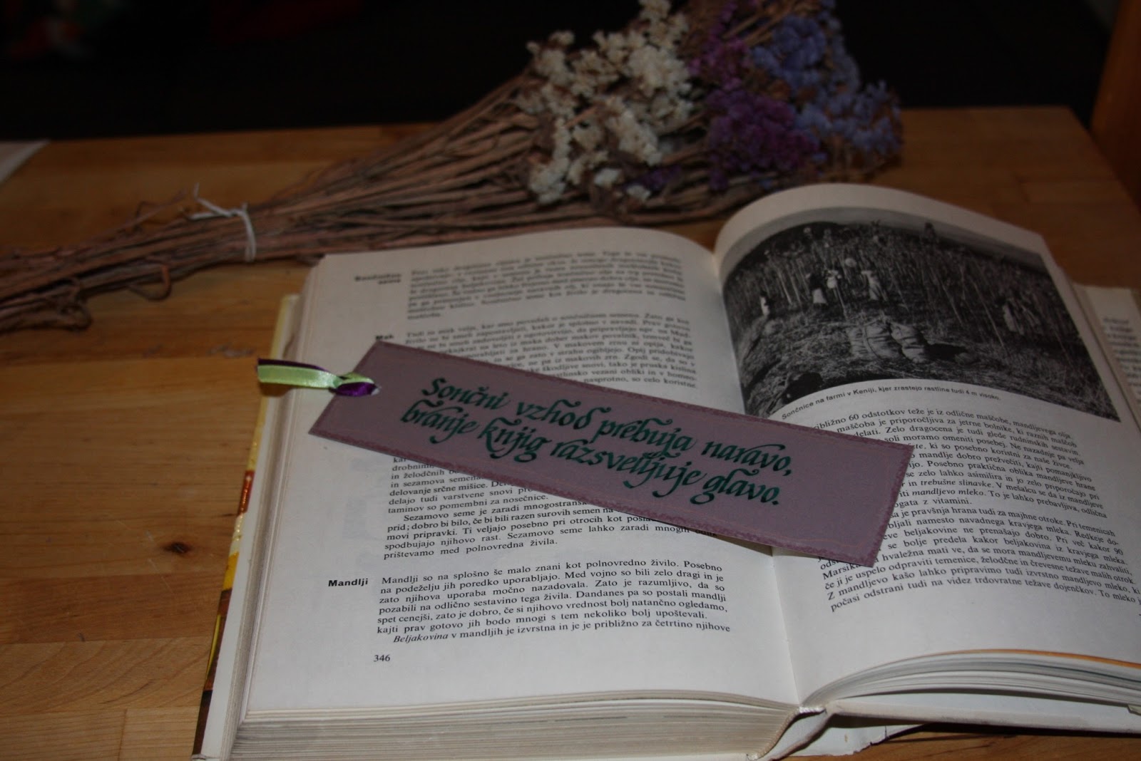 Kaligrafski zapisi - Calligraphy Remains: Cvetlično kazalo - Flower ...