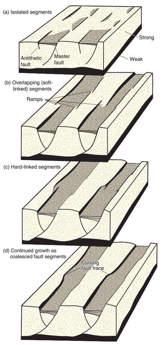 Learning Geology: Growth of fault populations