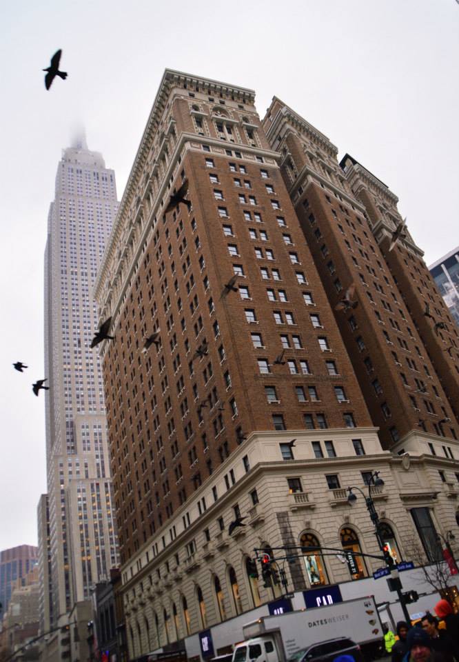 Trips 'n Toys: NYC: Herald Square