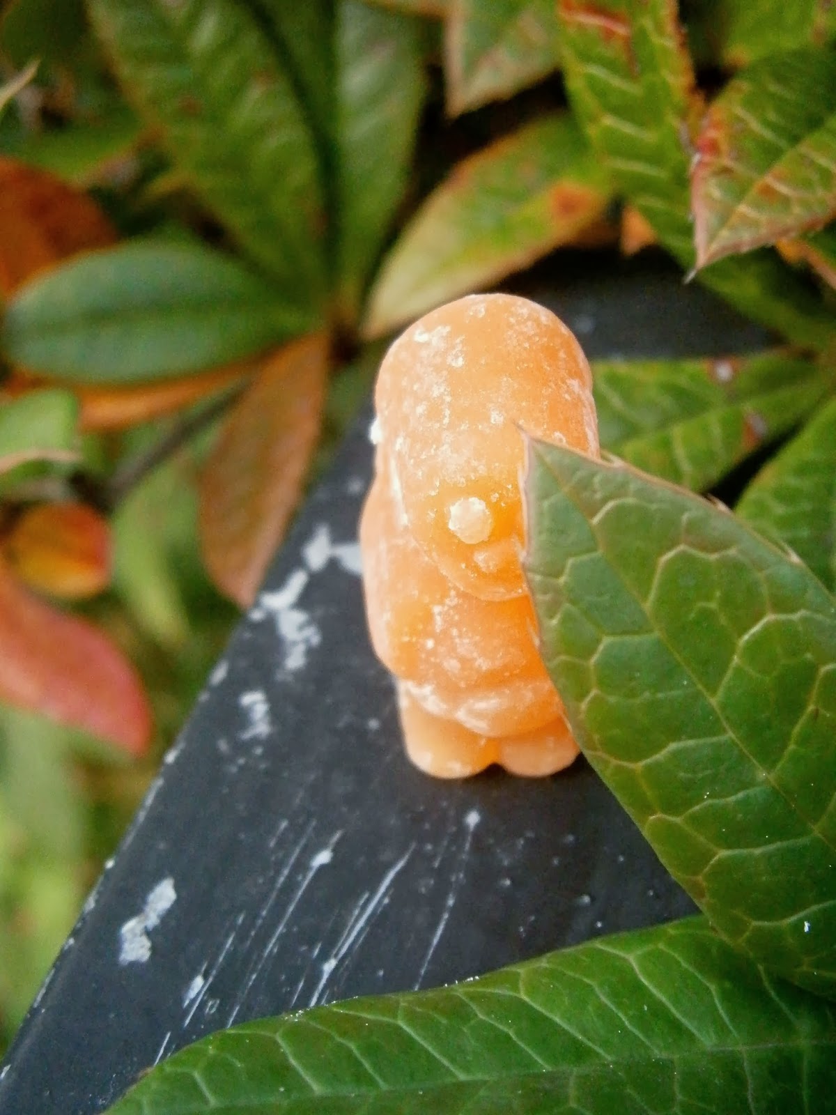 The Scottish Ramblings of an English Lass: Jelly Babies Rule Ok!!