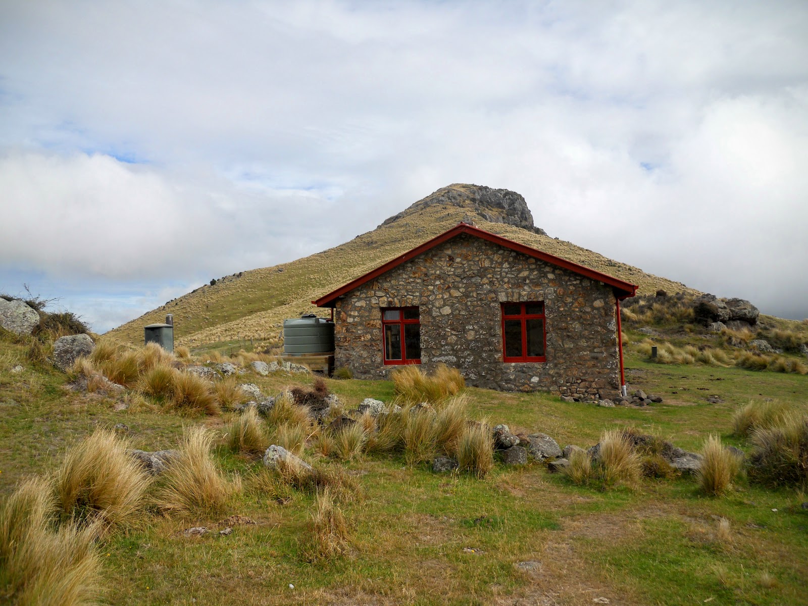 Tramping in the New Zealand backcountry: NZ Bush Adventures: Whats in a ...
