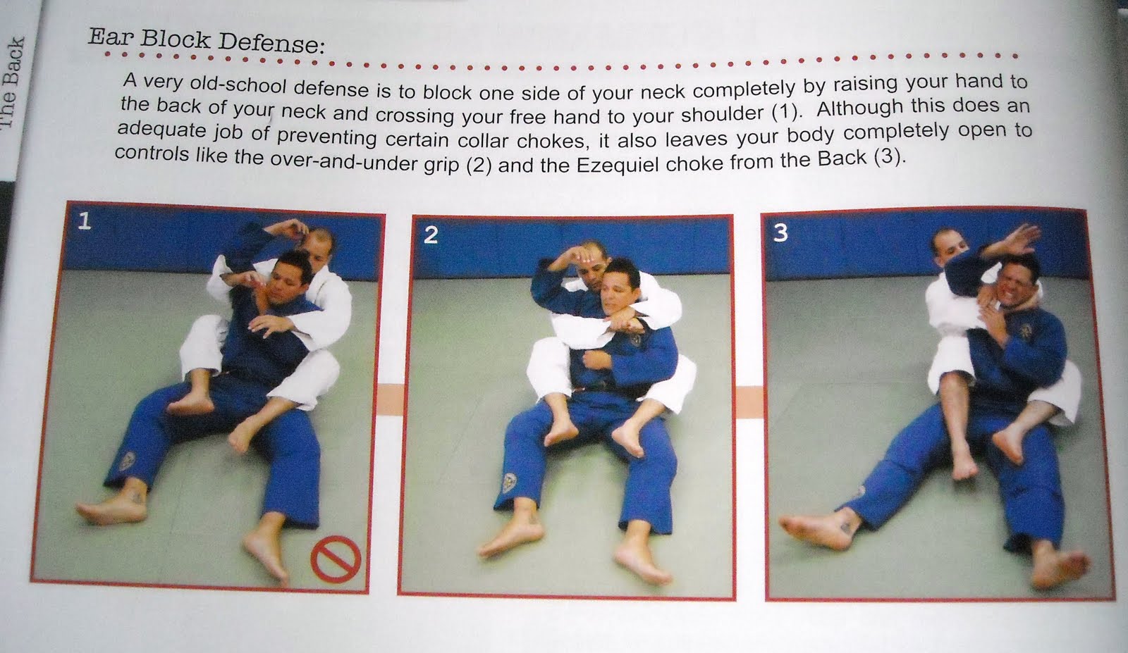 Saulo Ribeiro sconsiglia la Ear Block Defense ~ maxbjj