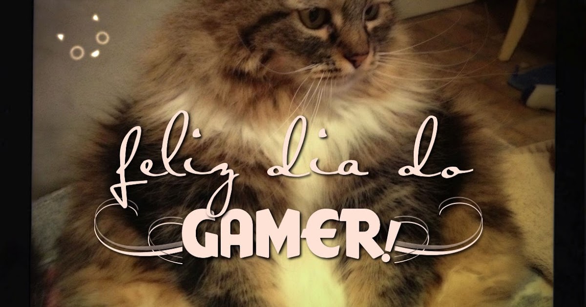 Gato Também É Gamer! - Brincando Com Gatos