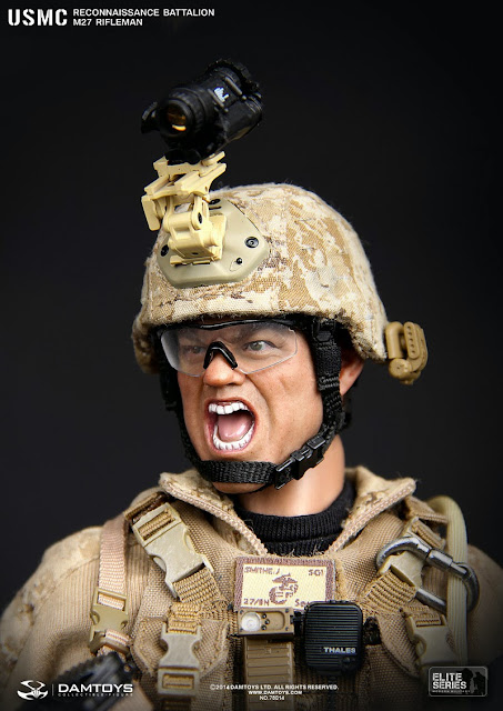 toyhaven: Dam Toys Elite Series 1/6 scale USMC Reconnaissance Battalion ...