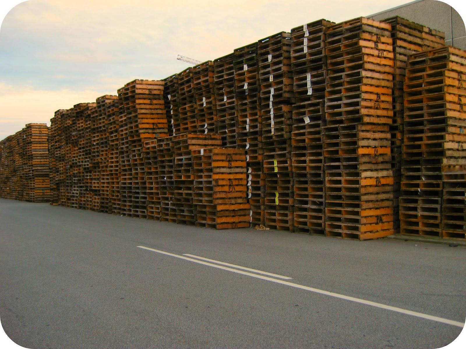 DIY se her hvordan: Paller til alle