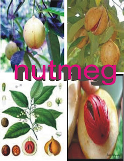 Overcome Disease: nutmeg