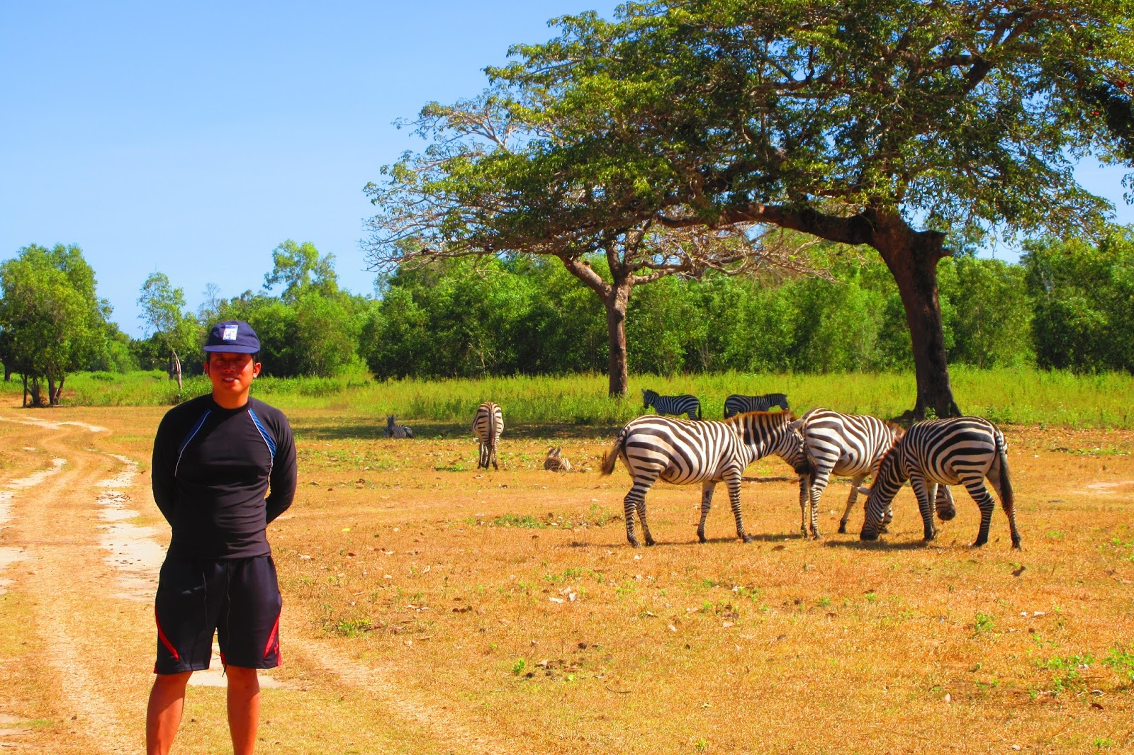 Top Reasons to Visit Palawan - The Wandering Juan