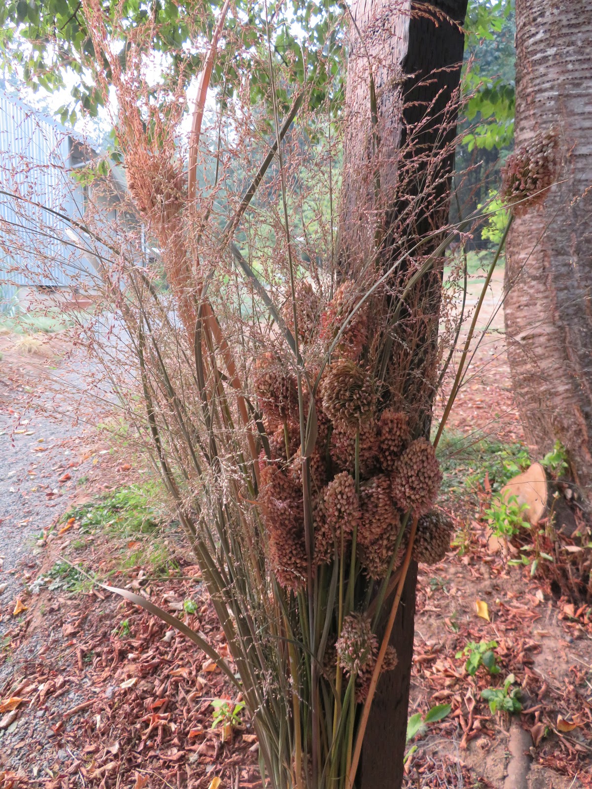 The End of Summer at Chickadee Gardens