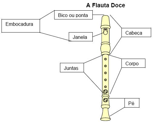 Só Flauta