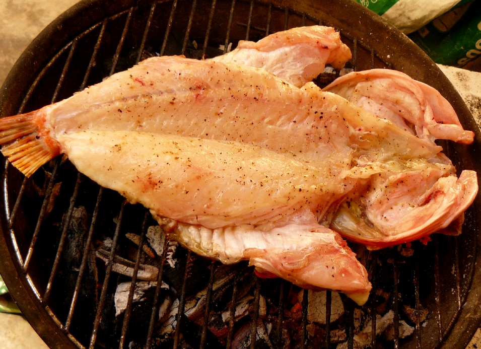 Outras Comidas: Escalar um Peixe (Rascasso)