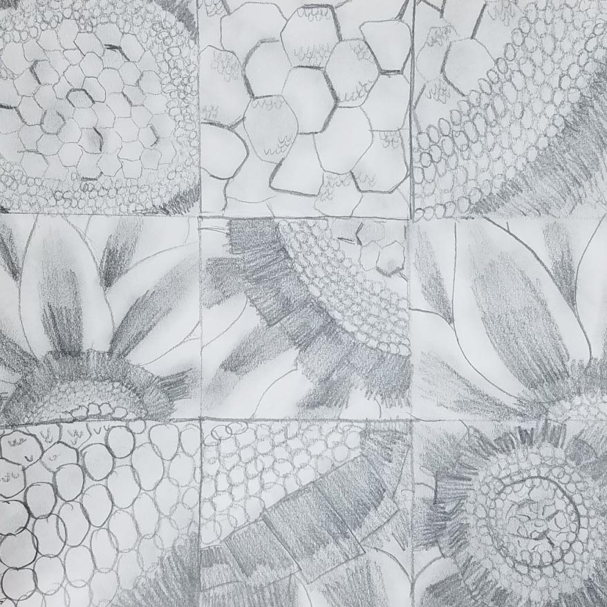 Jerdee's Art Classes: Drawing A | Focus Drawings (12 close-ups of an ...