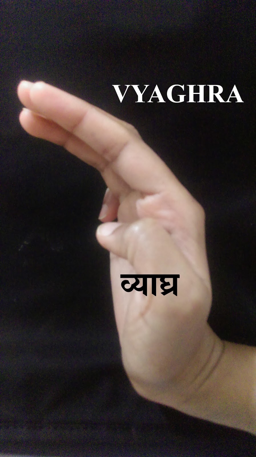 Kathak: Mudras