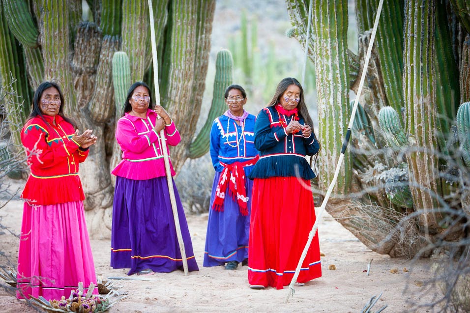 grupo indígena seri