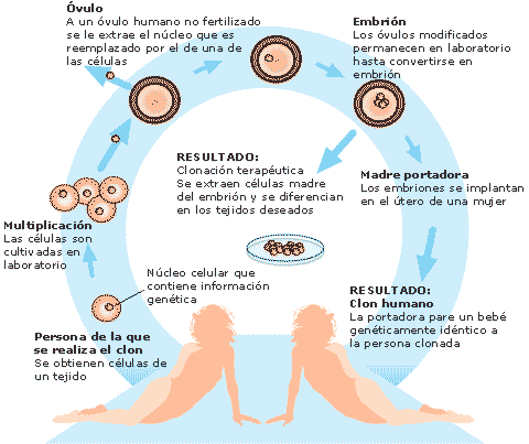 Las CMC: Tema 5 - Clonación