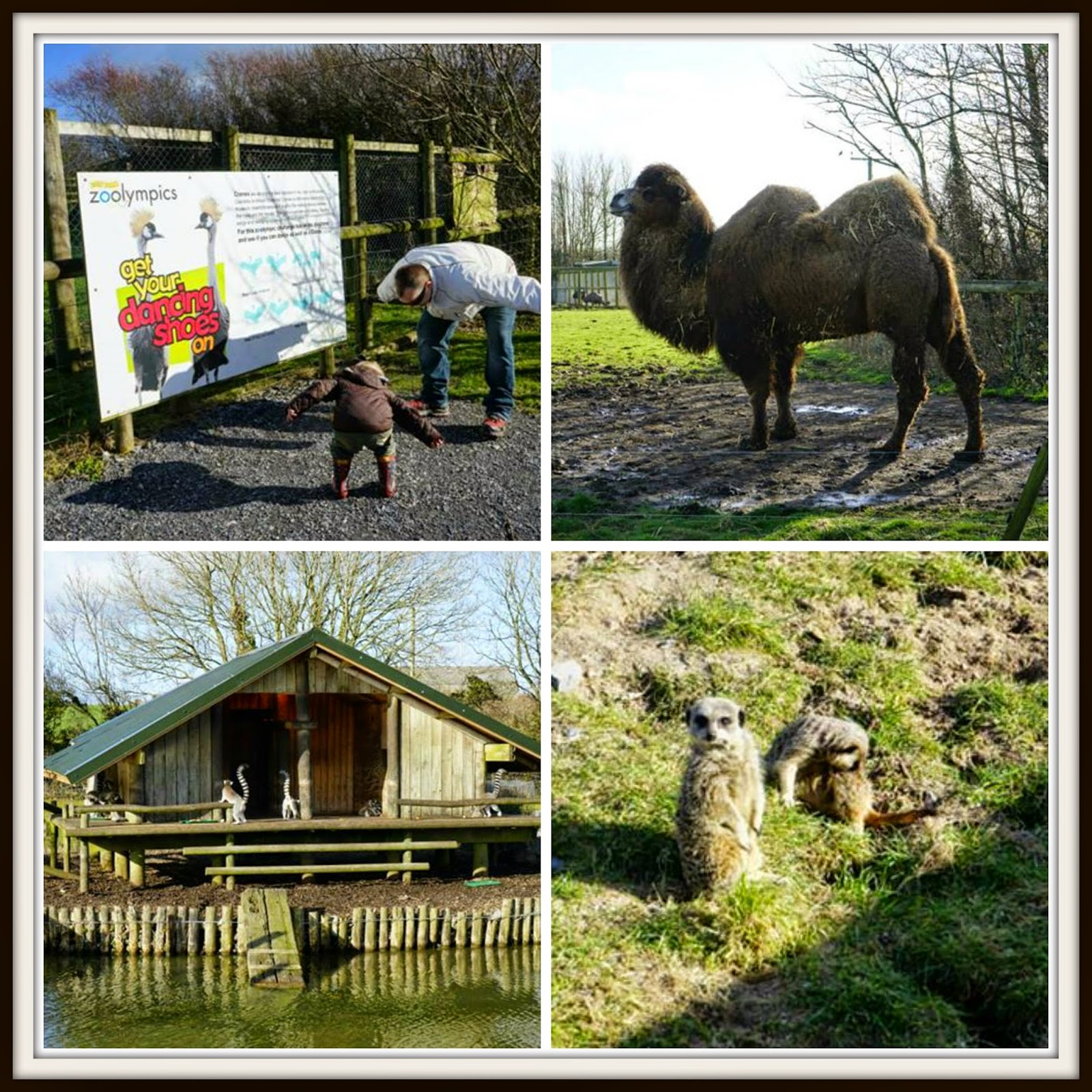 Entertaining Elliot: Folly Farm Adventure Park & Zoo, Pembrokeshire