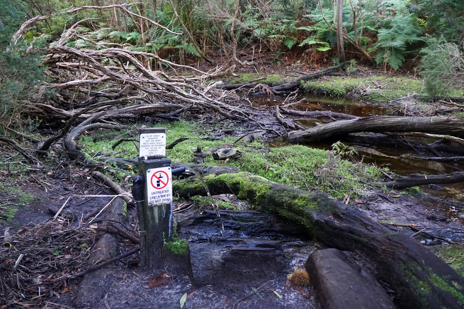 Wilsons Promontory Southern Circuit (VIC) - Sealers Cove to Little ...