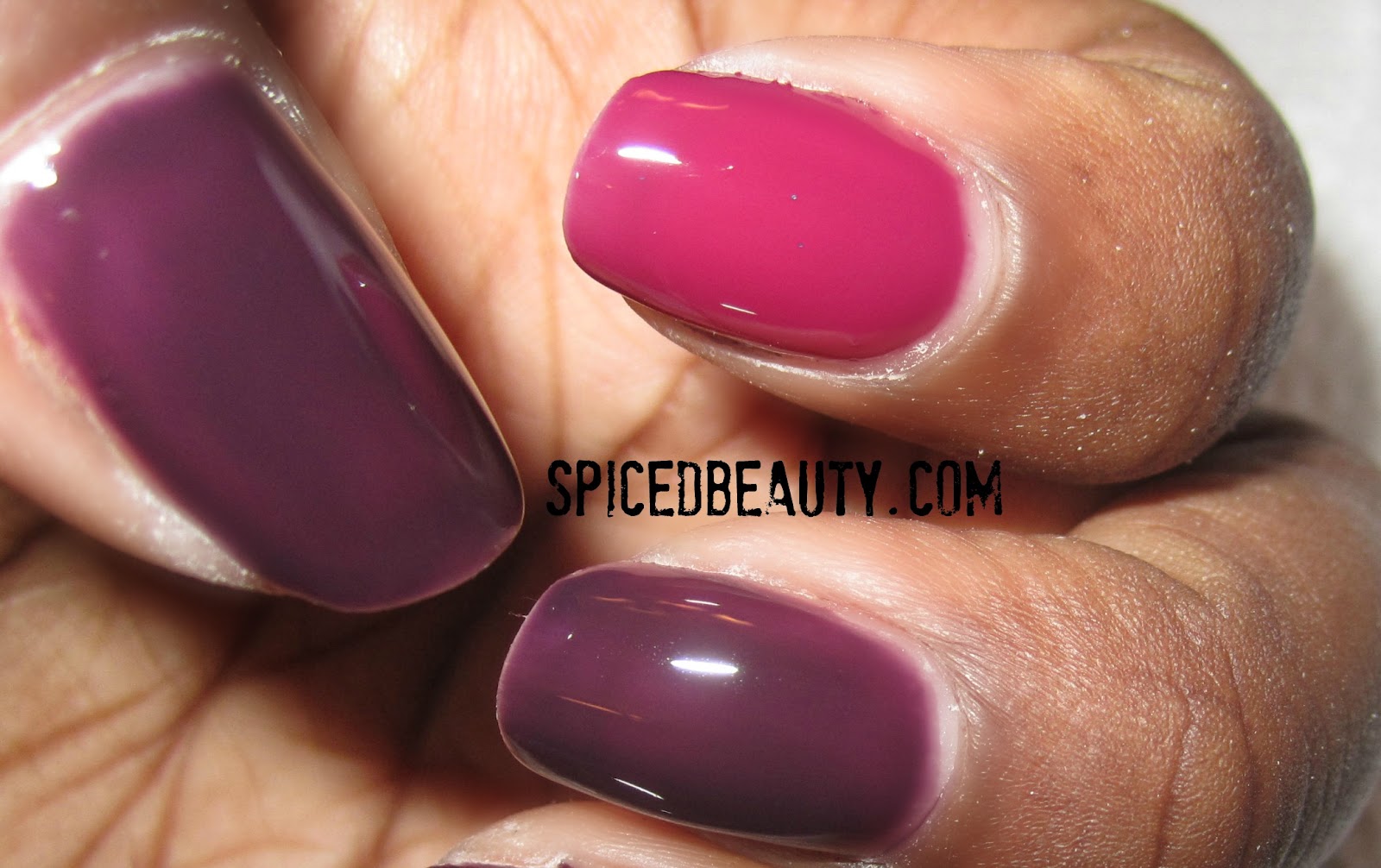 Bio Seaweed Gel Nails | My Spiced Life: Beauty + Lifestyle Blog