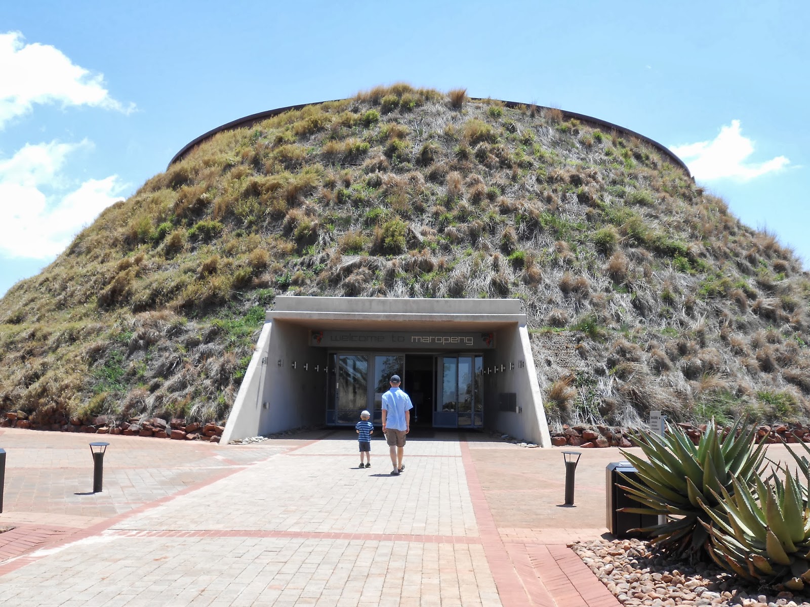 Well, It's Africa...: The Cradle of Humankind