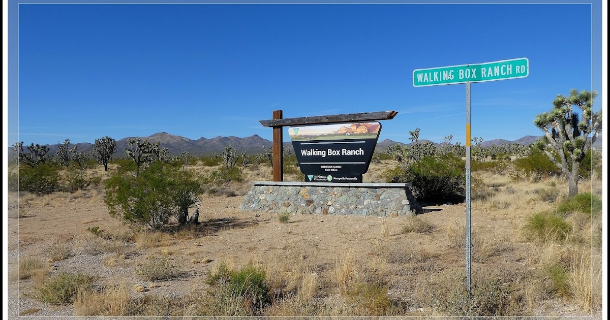 Ken's Photo Gallery: Walking Box Ranch - Summary Page