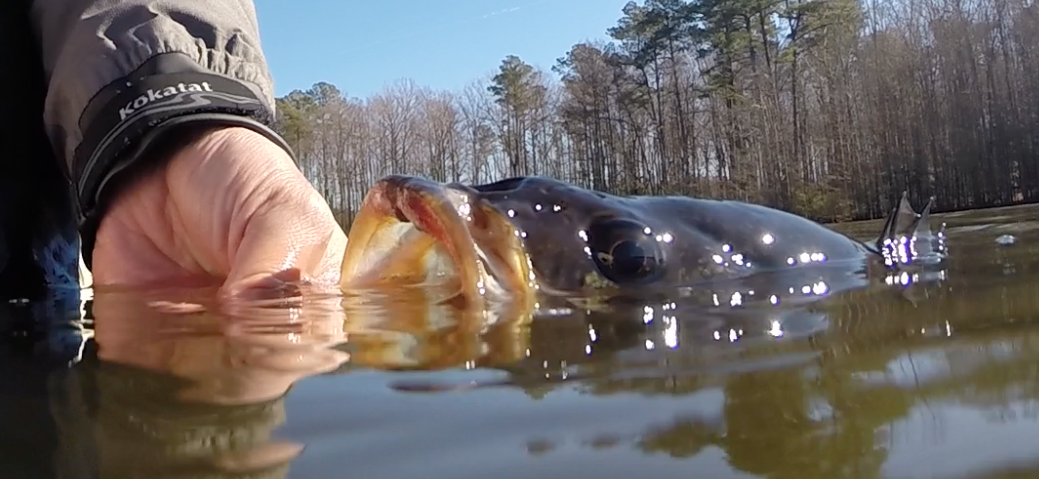 Angling Addict: YakAttack Boomstick Review