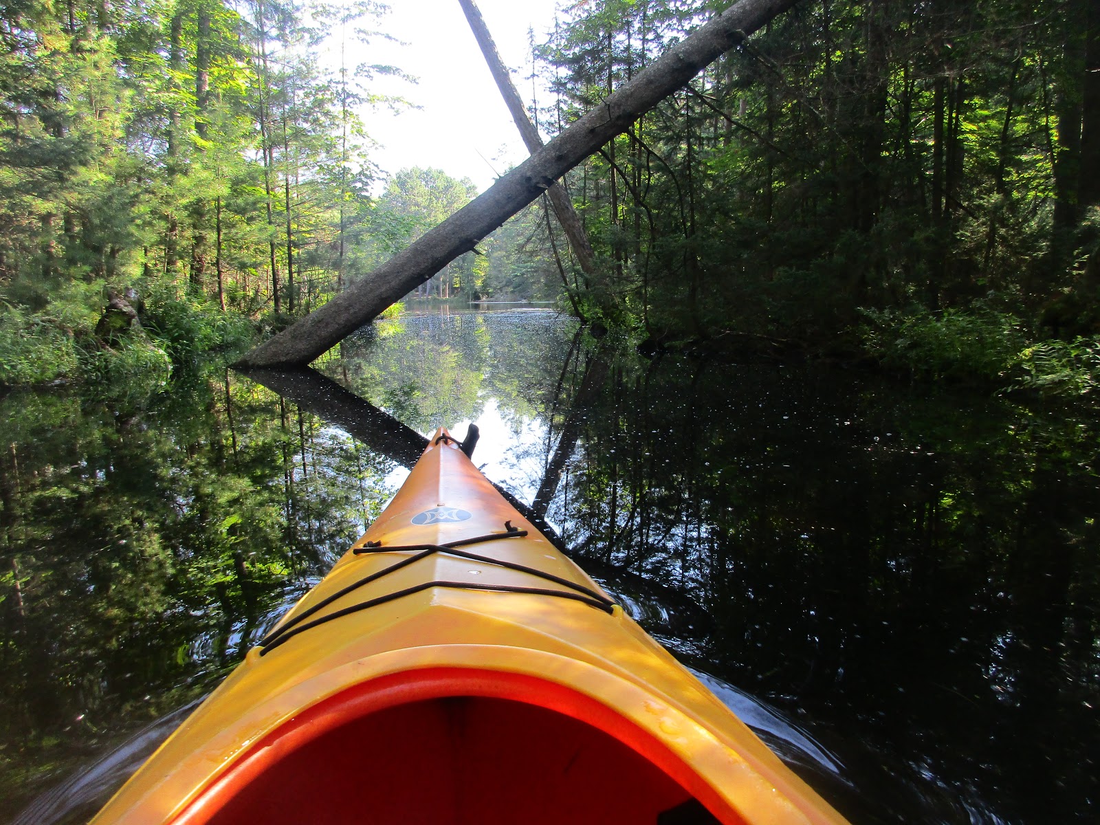 Dave's Yak Tales: Little Spider Lake, Day 5