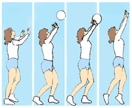 OMAR MAZO Educación física, Recreación y deportes: POSICIONES BÁSICAS ...