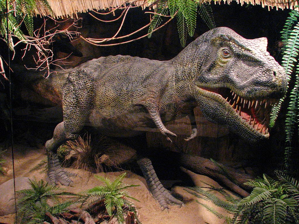 Foto Dinosauri Carnivori