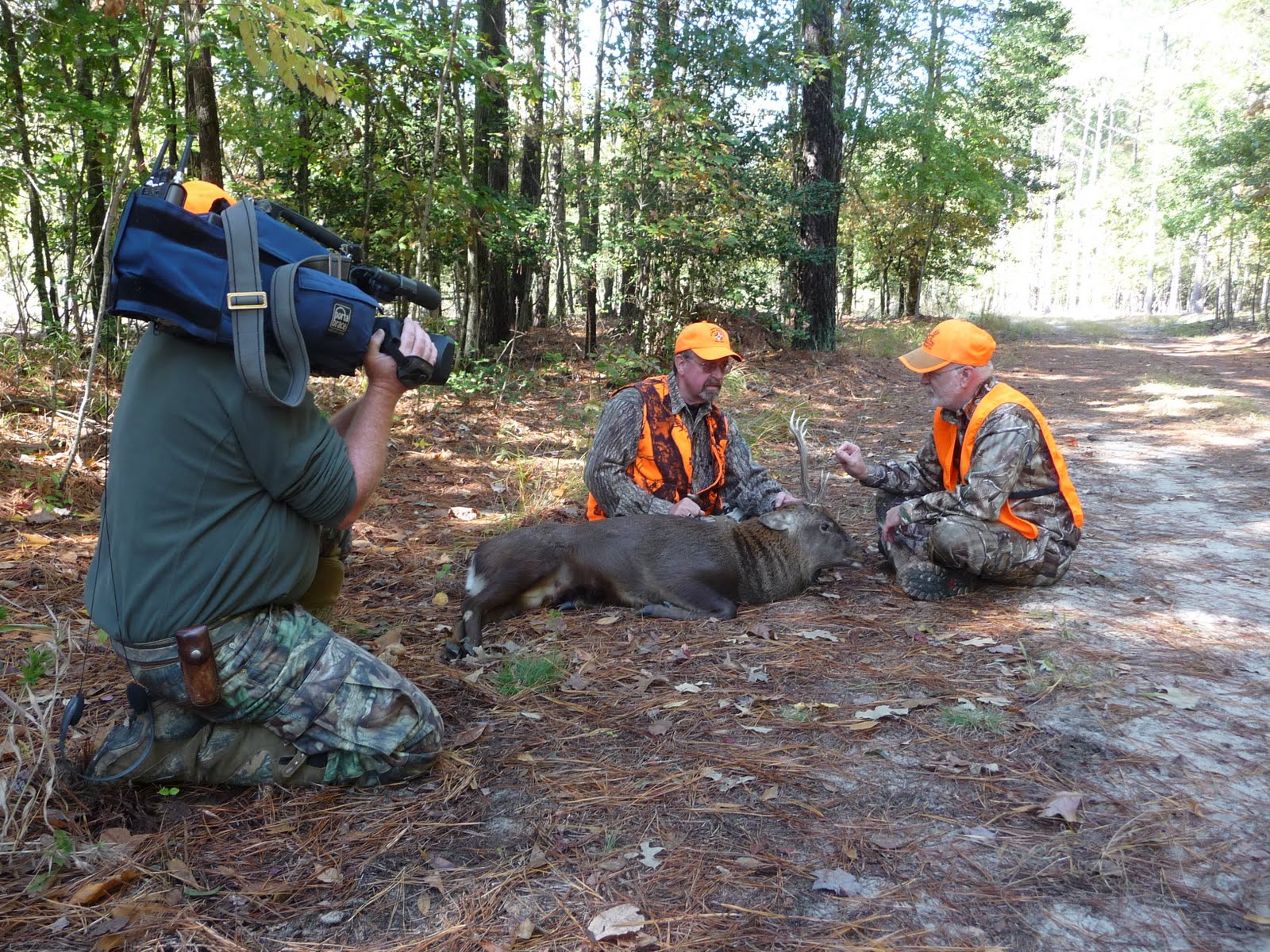 Welcome: Sika Show on Winchester's Dr. Deer This Week