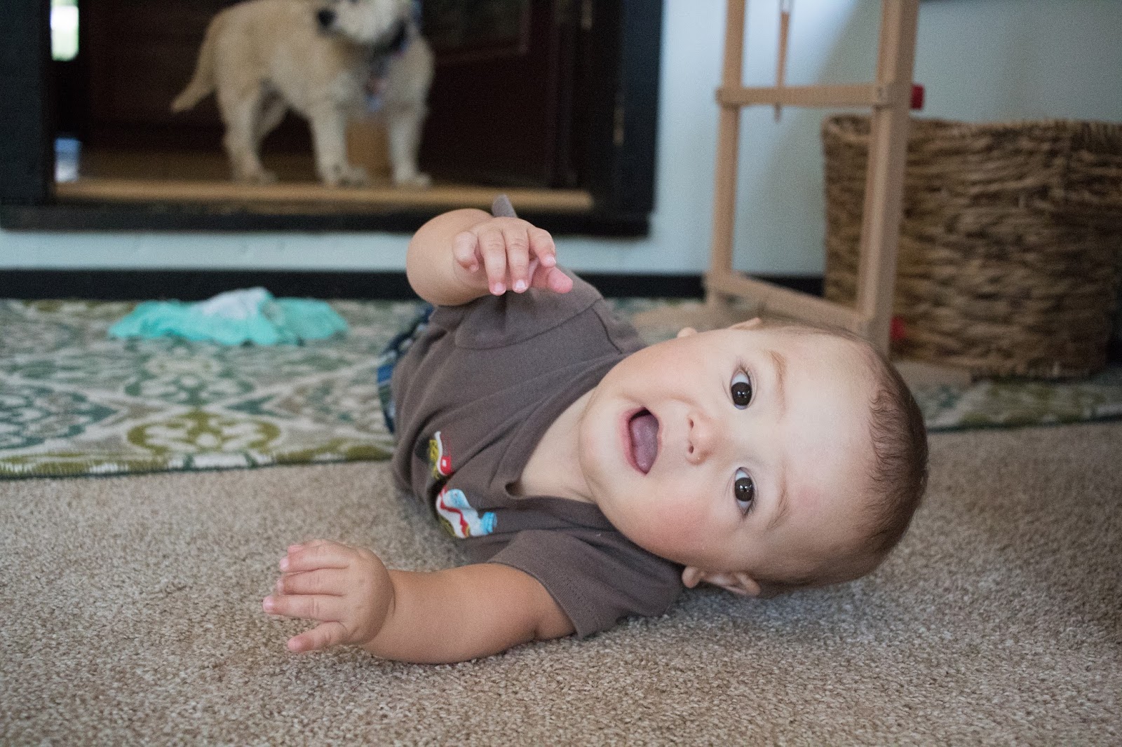 Moving, Moving -- Montessori Baby Week 33