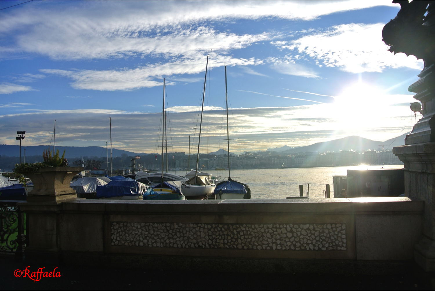 Fotografia è Vita: 2015