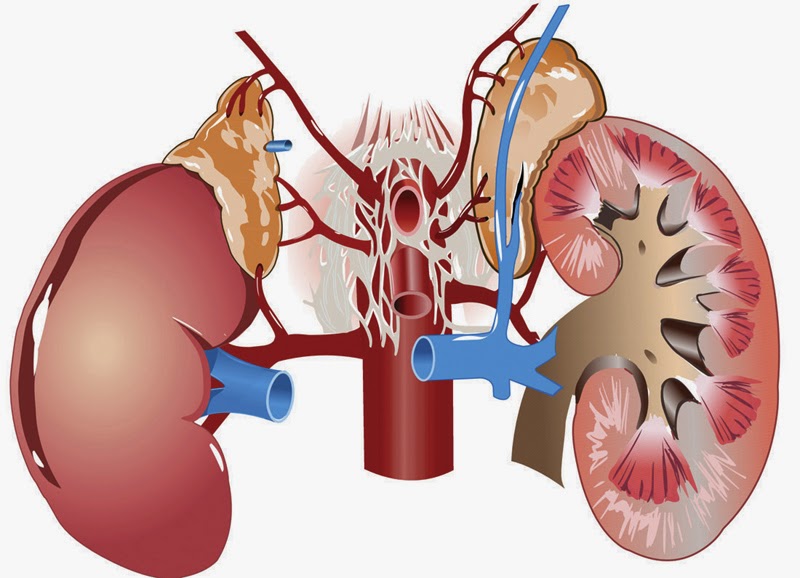Učiti treba naučiti: veljače 2015