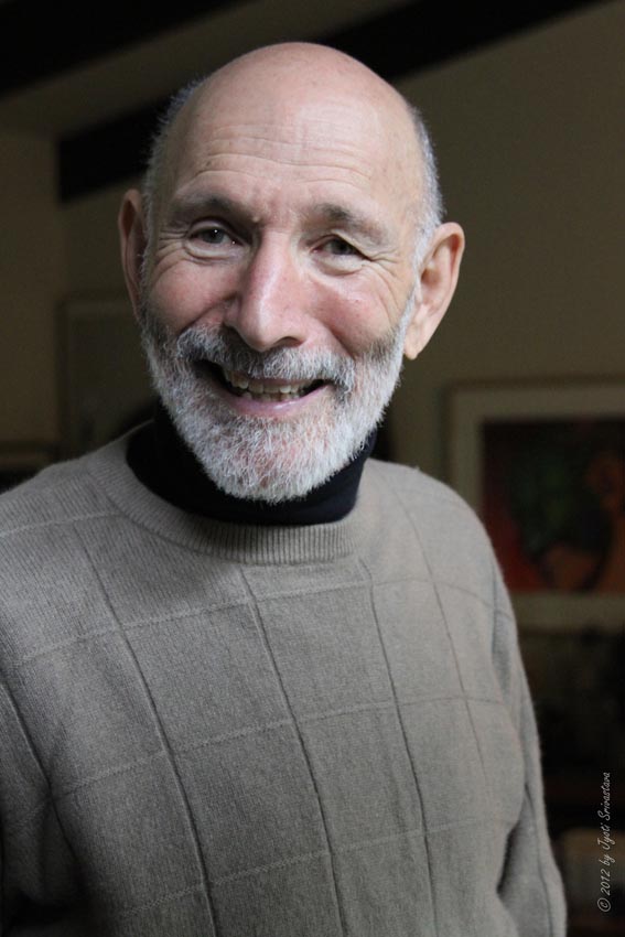 Public Art in Chicago: Morbid Curiosity: The Richard Harris Collection