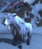 WoW Rare Spawns: Unique Hunter Pets