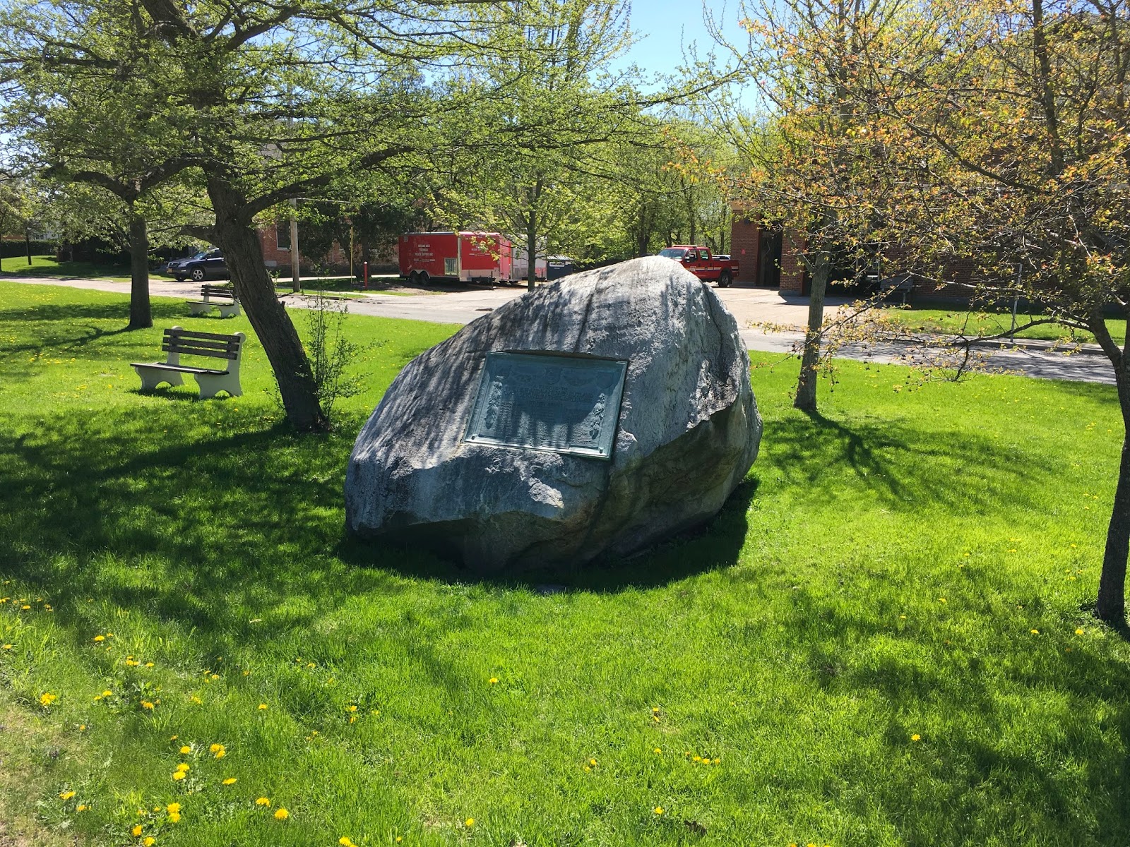 Tangled Roots and Trees: Honor Roll: Main Street Park, Rutland, Vermont