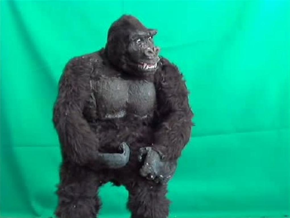 Lee's Stop Motion Monster Land