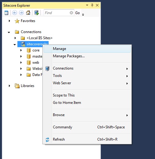 Explore Sitecore: Cache using Sitecore Rocks