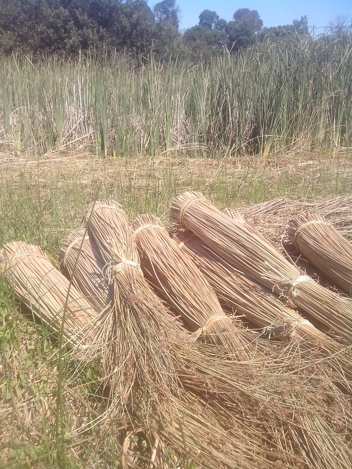 O BUNHO NO ARTESANATO