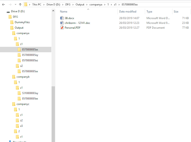 Dummy File Generator (DFG) Documentation and Case Example
