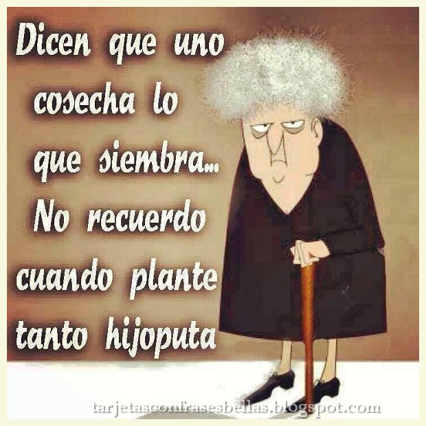 Tarjetas bellas con frases bellas: Frases Cómicas