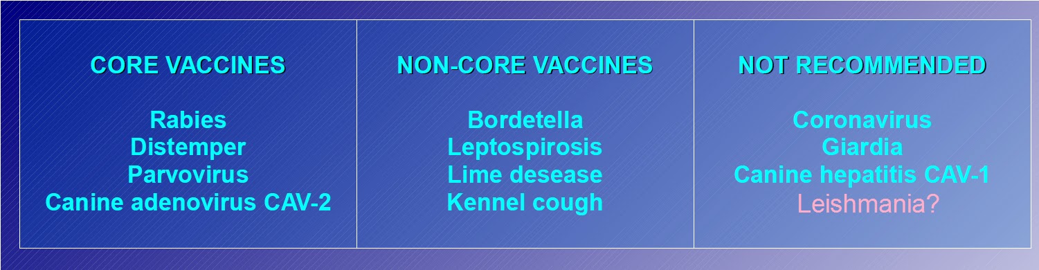 VeteriSilvia: Core vaccines in dogs/vacunas recomendadas en perros