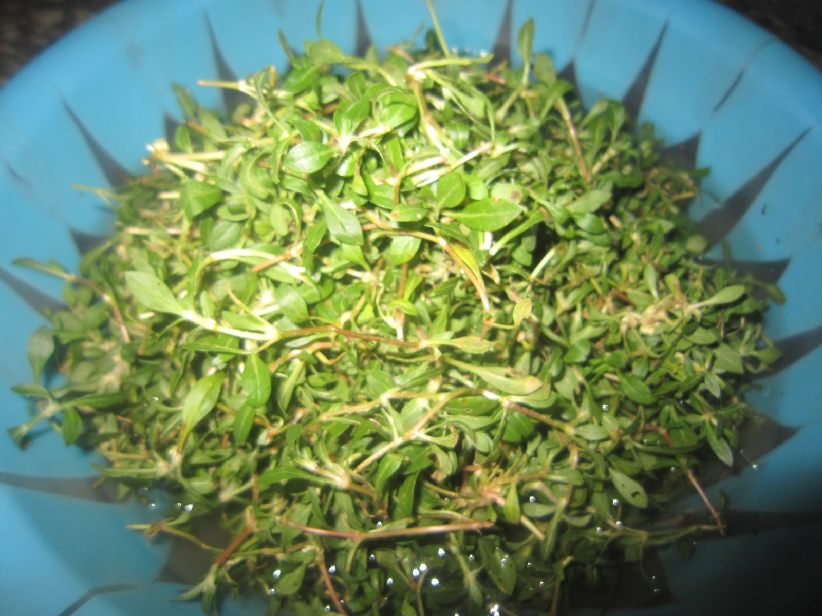 Archies Authentic Touch: Bas Saaru ( Basida Saaru ) and Palya