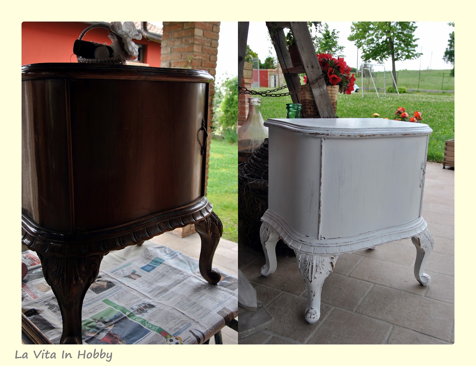 STELLA UN TESORO DEL MARE: PARLO DI LAURA ZANNI