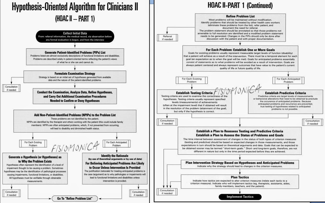 FISIOMÓNICA: Atención del Paciente y Toma de Decisiones: Una relación ...
