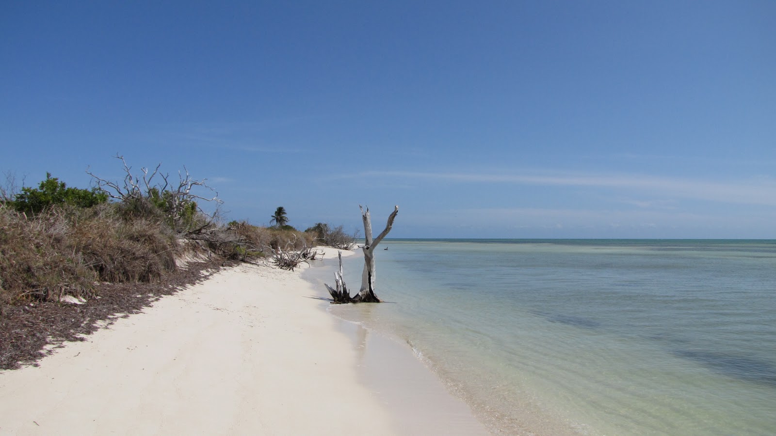 Sunny Days: Marco Island to Key West - Boca Grande Key - Marco Island