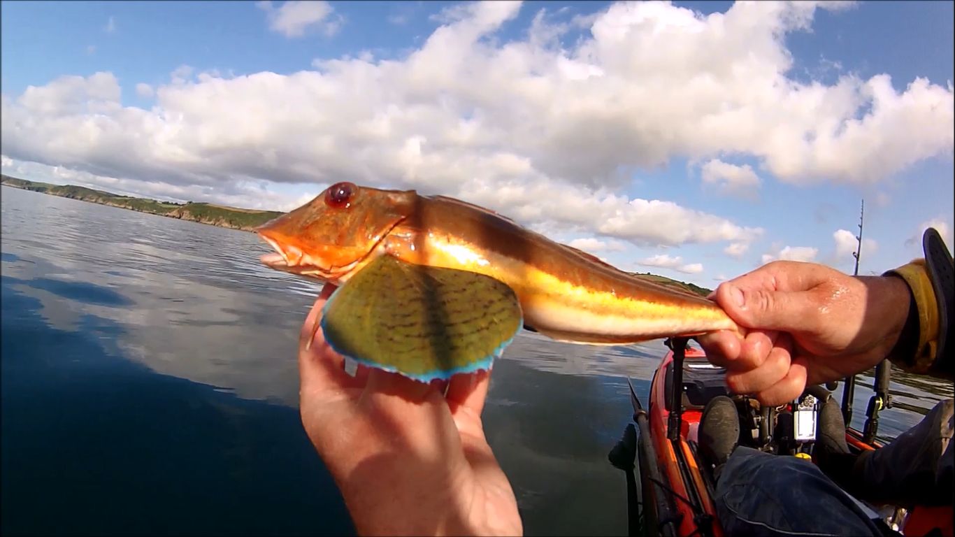 Cornish Shore and Kayak Fisherman: Kayak Fishing - A Mixed Methods Trip ...