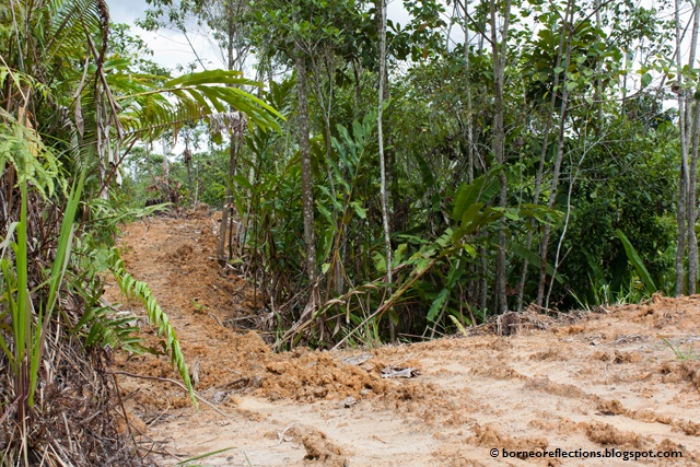 Borneo Reflections: Nabawan Town